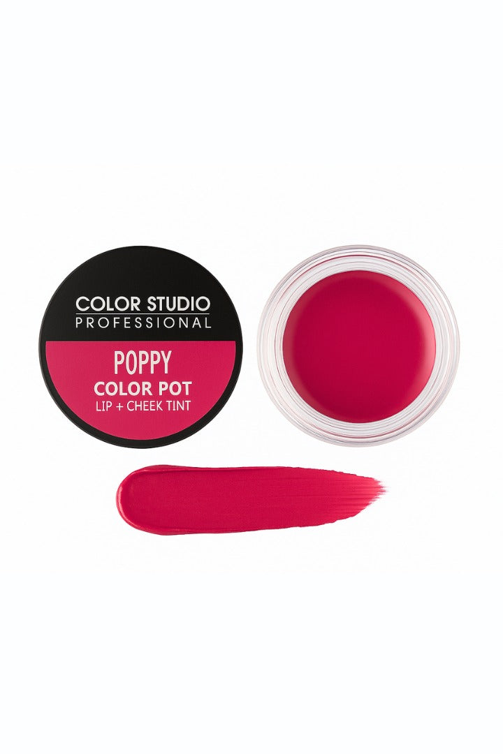COLOR POT LIP & CHEEK TINT - PILLOW TALK – COLORSTUDIOMAKEUP